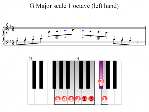 G Major scale 1 octave (left hand) | Piano Fingering Figures