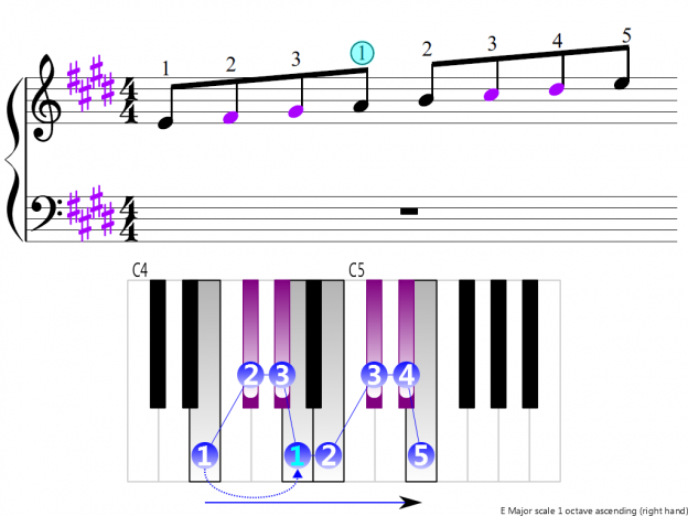 E Major scale 1 octave (right hand) | Piano Fingering Figures